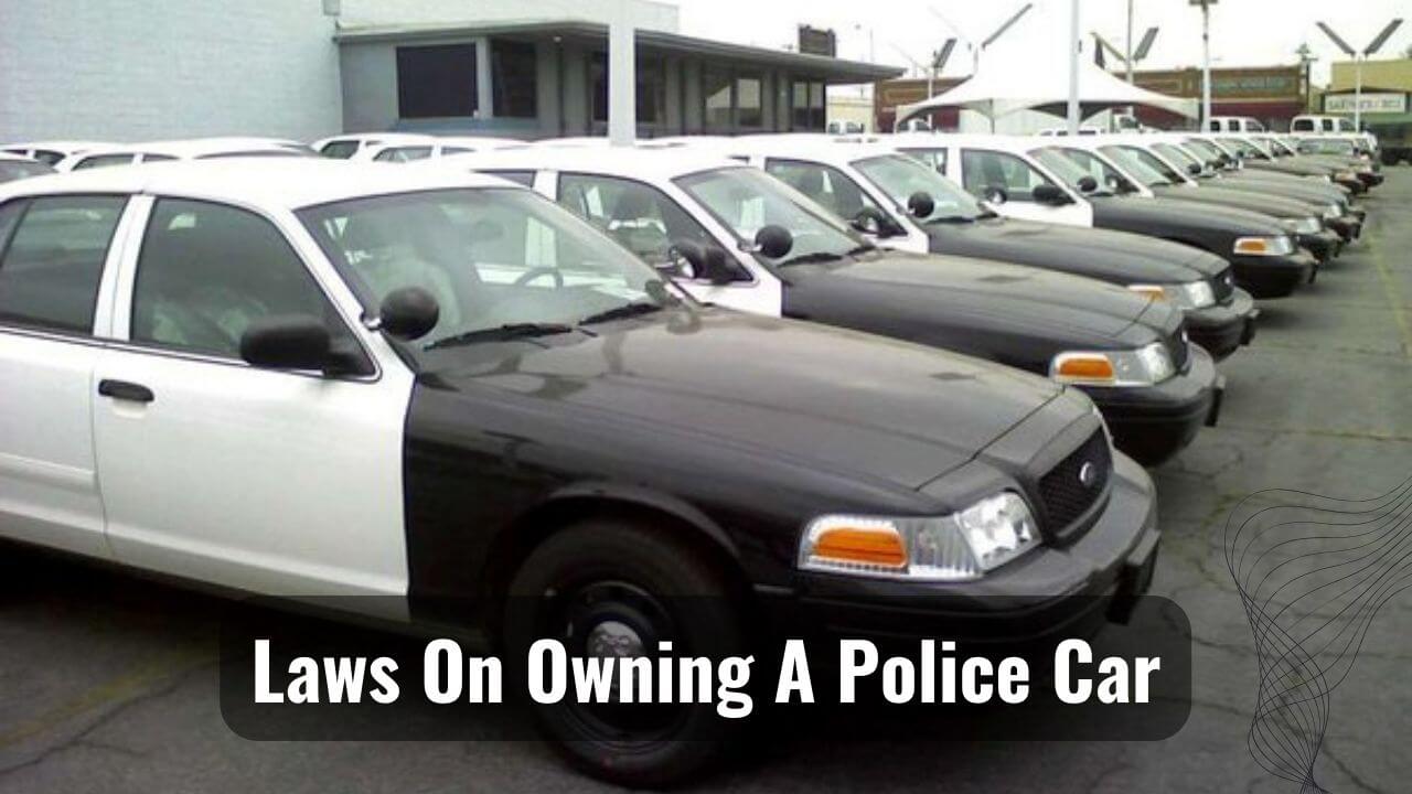License To Drive: Important Laws On Owning A Police Car!