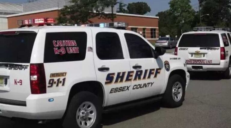 Are Police Cars Exempt From Window Tint Laws? What's The Rule!