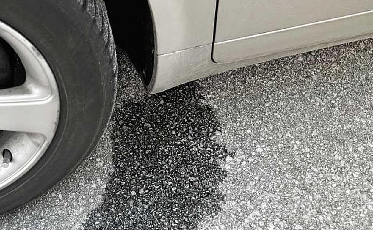 Water Infiltration 101: 2015 Nissan Rogue Water Leak!